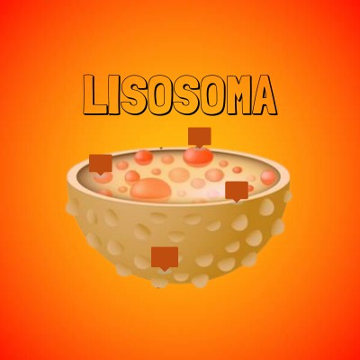 LISOSOMAS