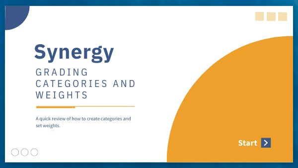 Synergy Grading Categories and Weights