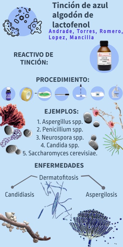 Grupo#4 Tinción de azul algodón de lactofenol