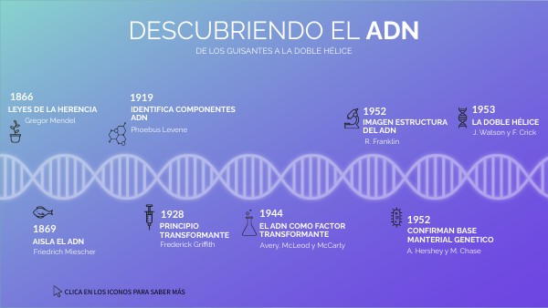 DESCUBRIENDO EL ADN