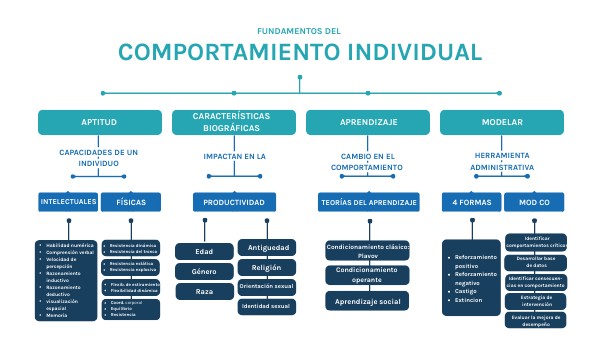 Comportamiento individual