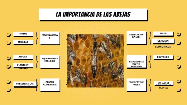 MAPA MENTAL LAS ABEJAS