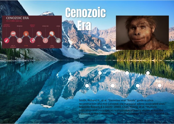 Cenozoic Era