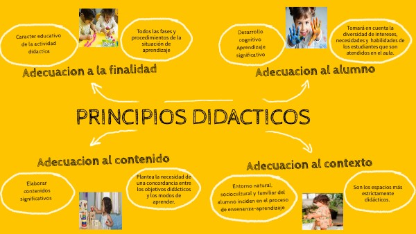 PRINCIPIOS DIDACTICOS
