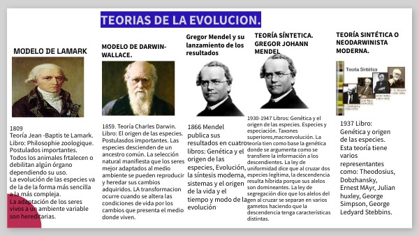 teorias de la evolucion