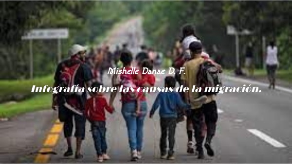 Infografía sobre las causas de la migracion