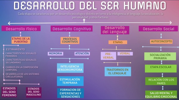 MAPA DEL DESARROLLO
