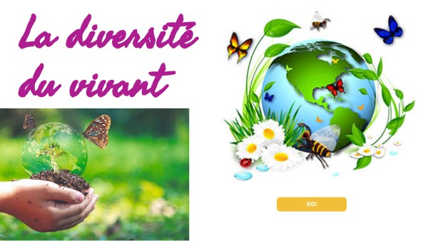 La diversité du vivant