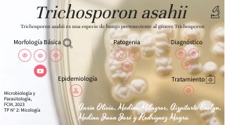 Micología: Trichosporon Asahii