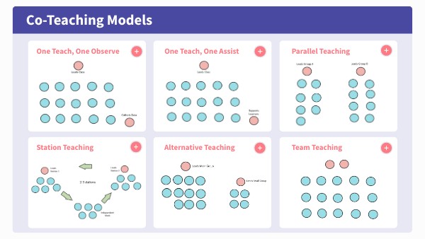 Co Teaching Models