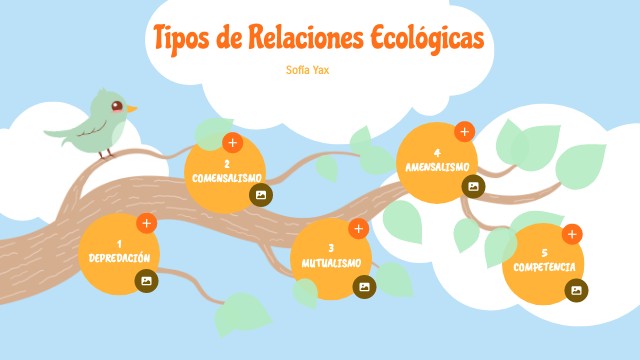 Relaciones Ecológicas