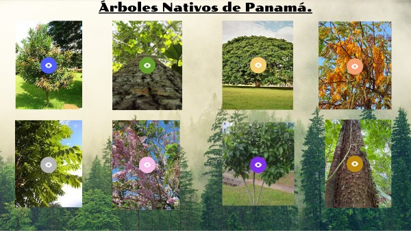 Árboles Nativos de Panamá.