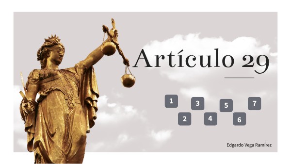 Artículo 29