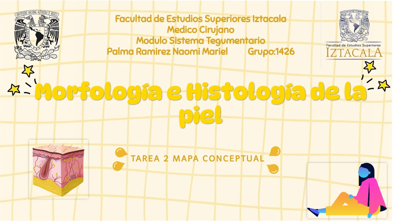 Mapa conceptual_ Morfología e histología de la piel