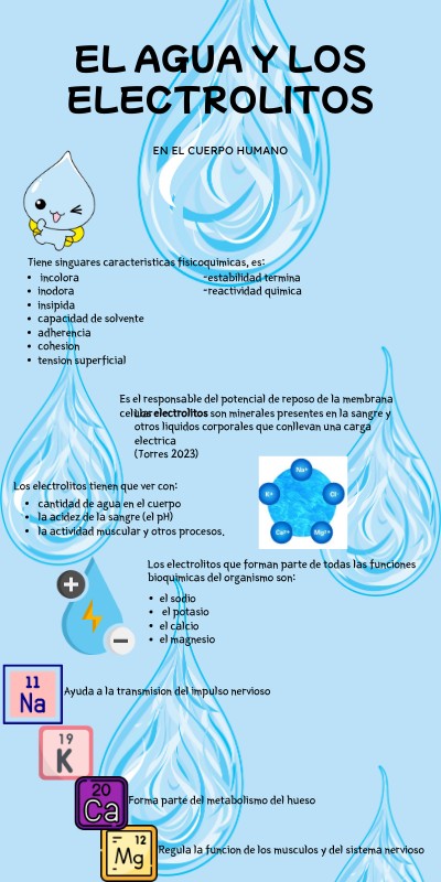 fatima_rangel_el_agua_y_los_electrolitos