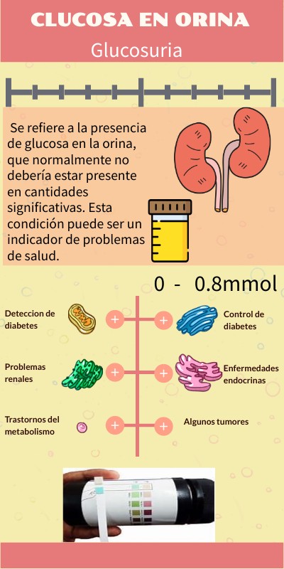 glucosa en orina