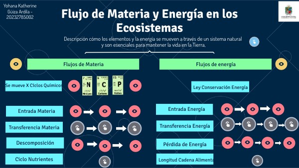 MAPA CONCEPTUAL FLUJOS MATERIA Y ENERGÍA