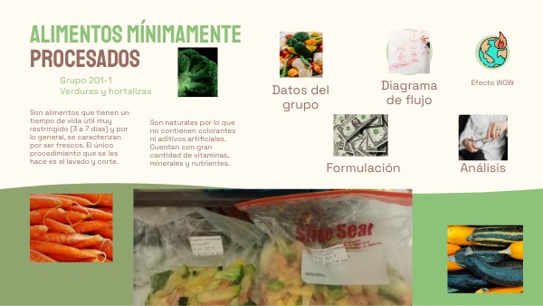 Alimentos mínimamente procesados