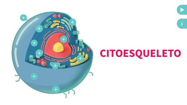 CITOESQUELETO