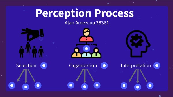 Perception process