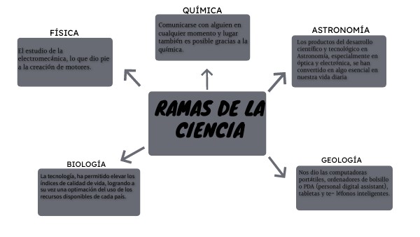 ramas de las ciencias