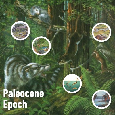 PALEOCENE EPOCH