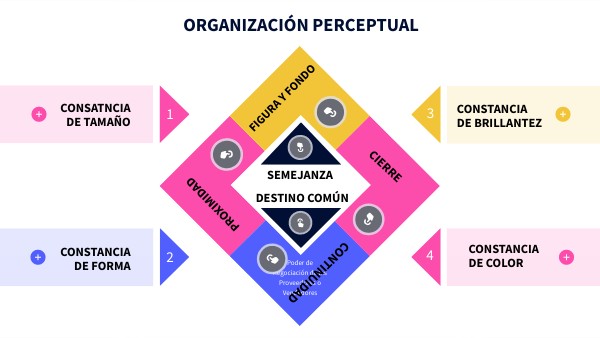 organización perceptual