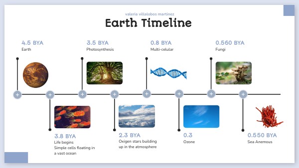 EARTH TIMELINE