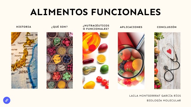 ALIMENTOS FUNCIONAL
