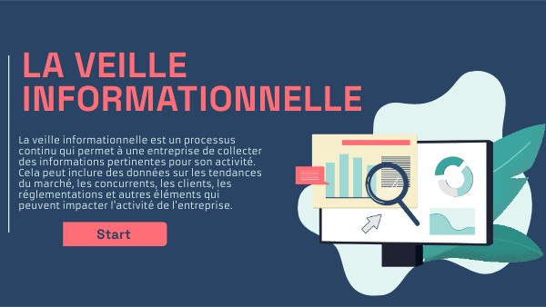 VEILLE INFORMATIONNELLE
