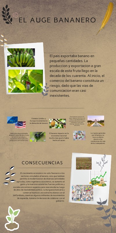 el auge bananero