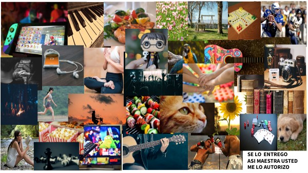 COLLAGE DE MIS GUSTOS