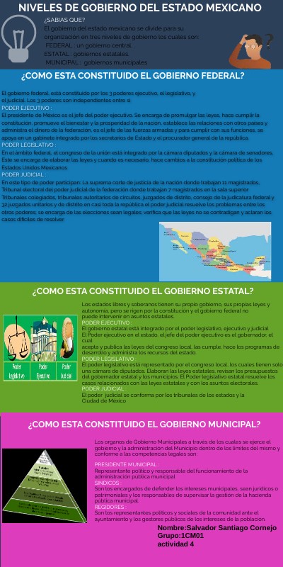 NIVELES DE GOBIERNO DEL ESTADO MEXICANO