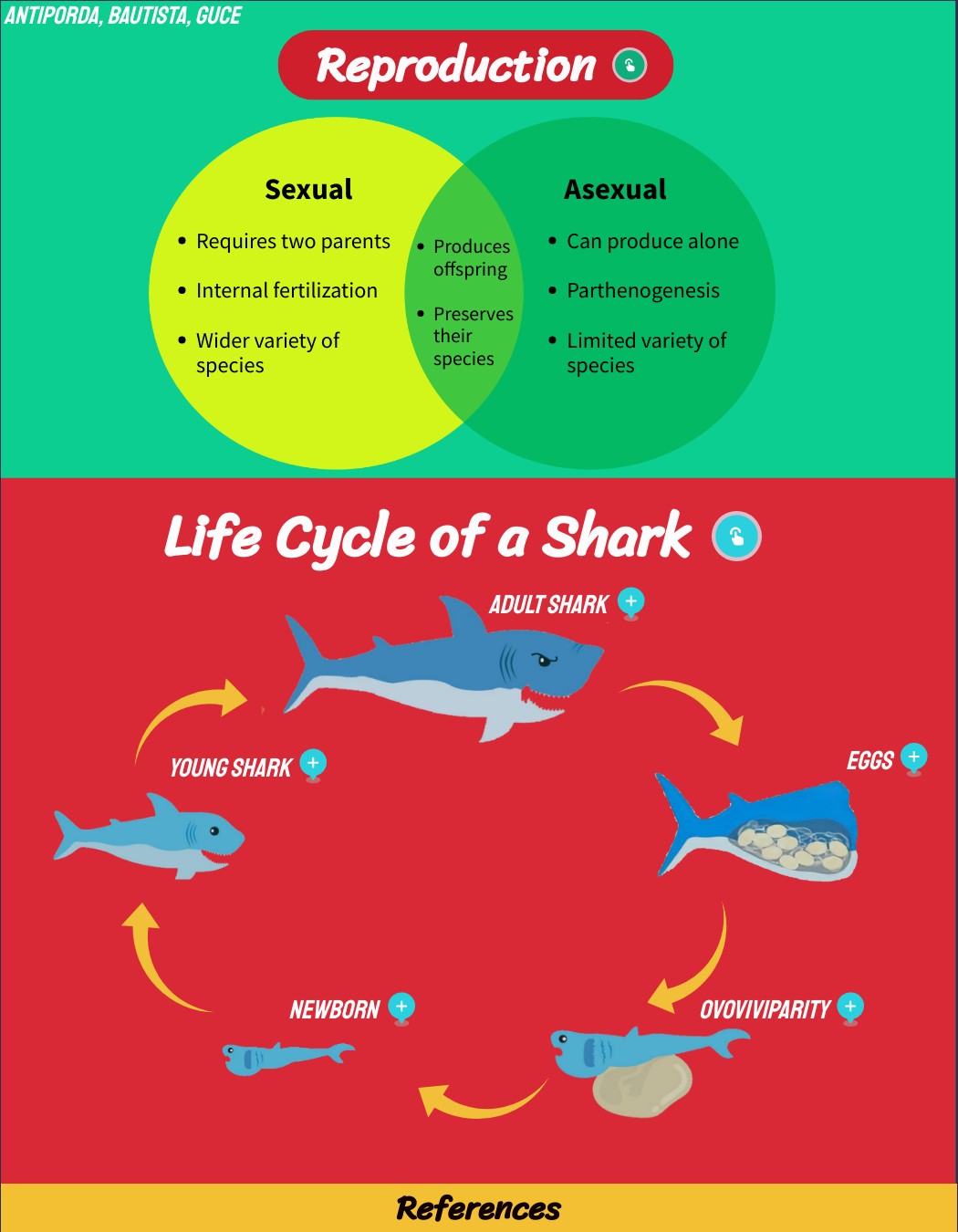 Learning Activity Life Cycle Of Animals learning-activity-life-cycle-of-animals