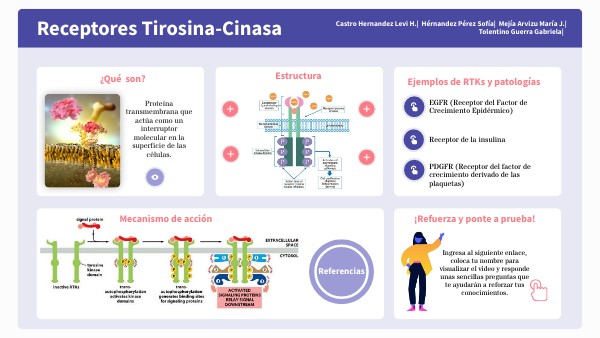 Receptores Tirosin-Cinasa