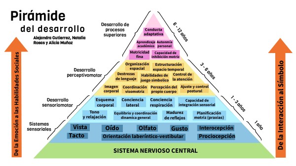 Pirámide Del Desarollo