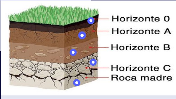 Horizontes de la tierra