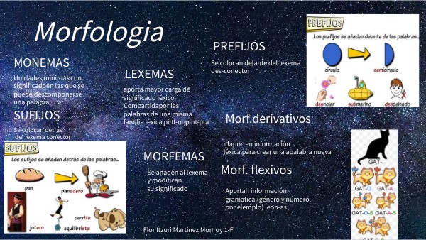infografia de morfologia
