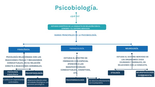 Mapa Conceptual Ramas principales de la psicobiología.