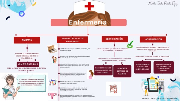 MAPA CONCEPTUAL ENFERMERIA