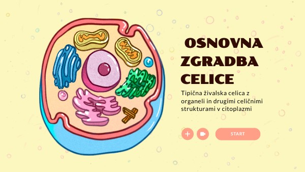 5 NAR živalska celica