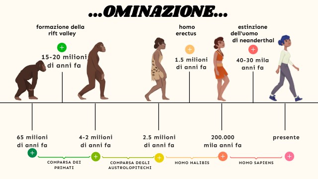 STAGES OF HUMAN EVOLUTION