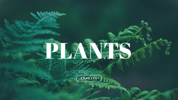 PLANTS