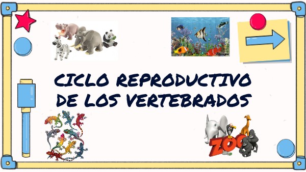 CICLO REPRODUCTIVO DE LOS VERTEBRADOS