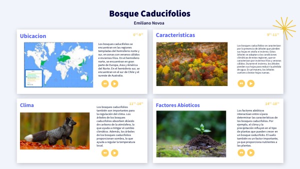 Bosques Caducifolios