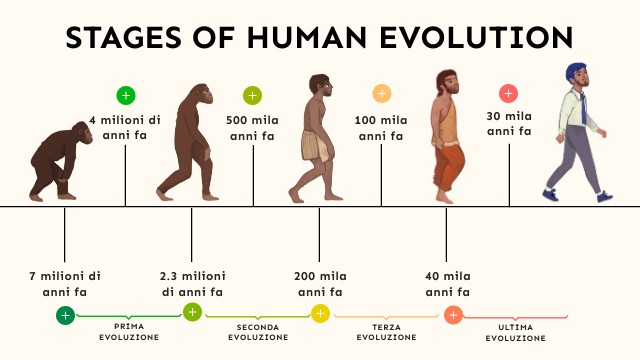 STAGES OF HUMAN EVOLUTION