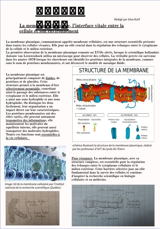 Membrane Cellulaire
