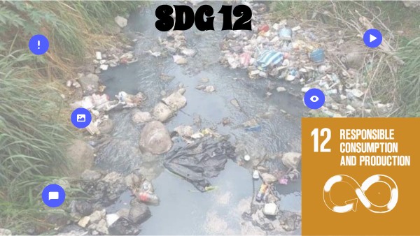 Sdg 12