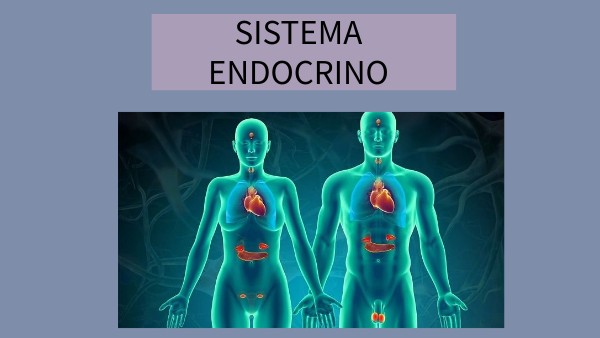 PRESENTACIÓN DEL SISTEMA ENDOCRINO