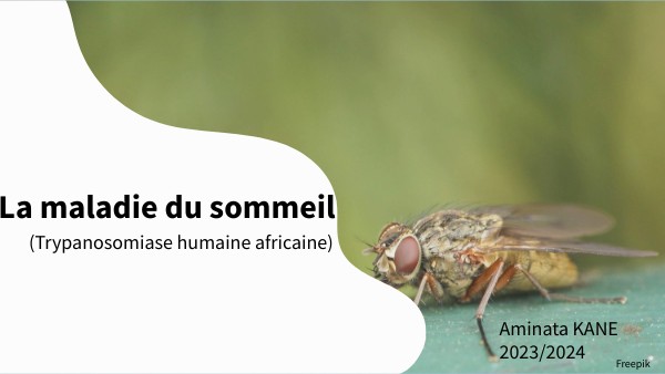 La maladie du sommeil